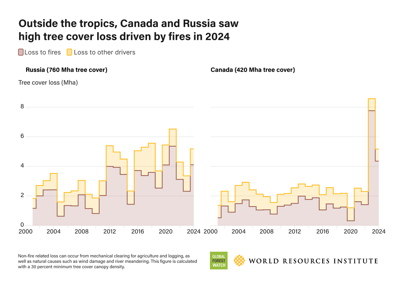 Kebakaran Menjadi Penyebab Kehilangan Hutan Tropis Terparah Sepanjang 2024 | World Resources ...